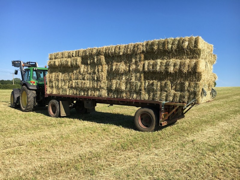 Making Sainfoin Hay While the Sun Shines