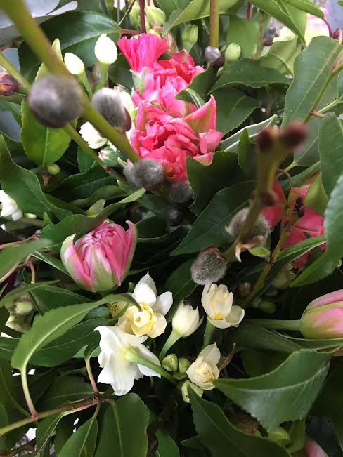 Wilder Flowers from the Farm