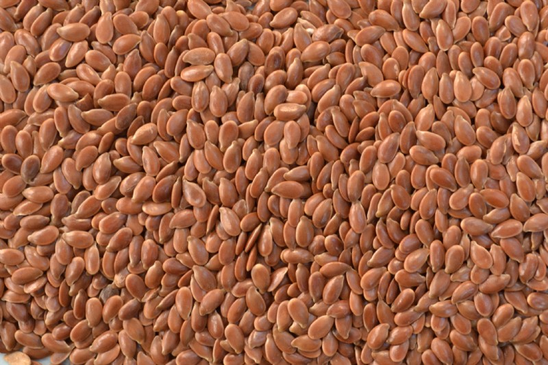 Linseed | Species Information